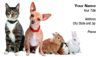 Animals Business Cards : Page 1 of 172