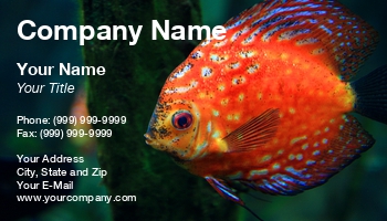 Fish Hatchery Business Cards