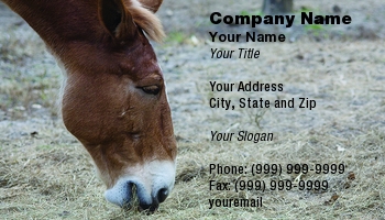 Tack Business Cards