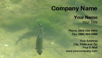 Fish Hatchery Business Cards