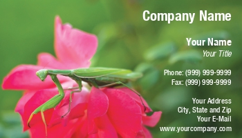 Conservation Business Cards