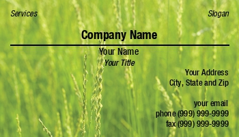 Business Card Designs by Adrian Grosu