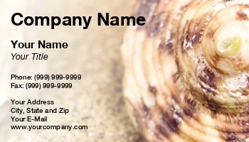 Seashells Business Cards