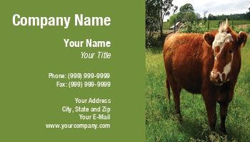 Cattle Business Cards