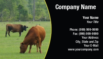 Cattle Business Cards
