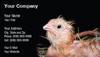 Poultry Farm Business Cards