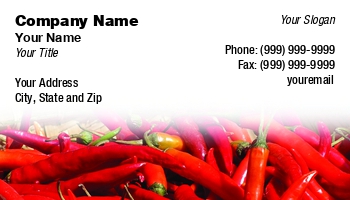 Spices Business Cards