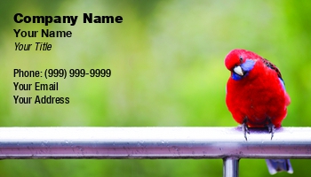 Template AT240227: Exotic Pets