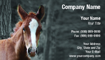 Horse Trainer Business Cards