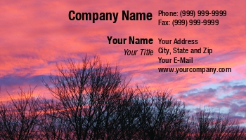 Business Card Design Samples