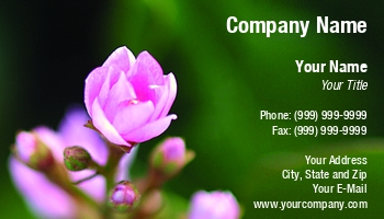 Macro Business Cards