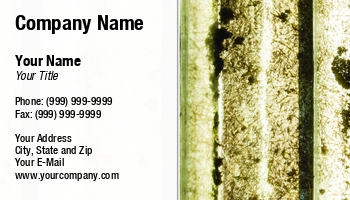 Mold Inspection And Remediation Business Cards