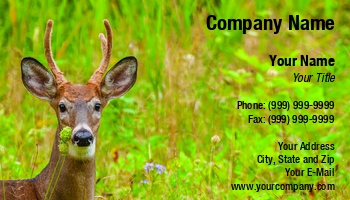 Wildlife Biologist Business Cards