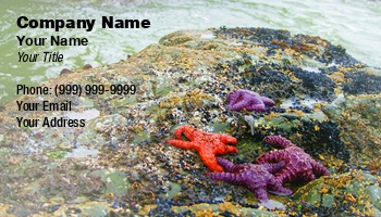 Geophysicist Business Cards