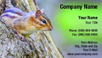 Wild Animal Business Cards