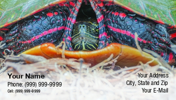 Wildlife Biologist Business Cards