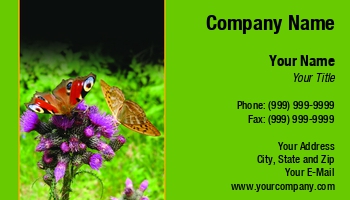 Butterfly Business Cards
