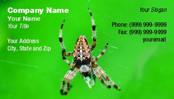 Wildlife Biologist Business Cards