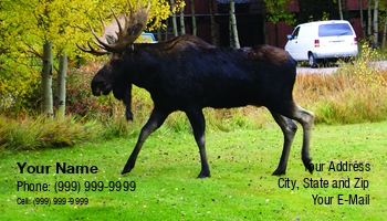 The Loyal Order of Moose Business Cards