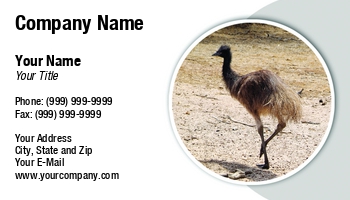 Flora and Fauna Business Cards