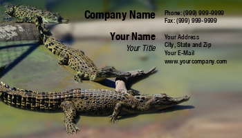 Reptile Business Cards
