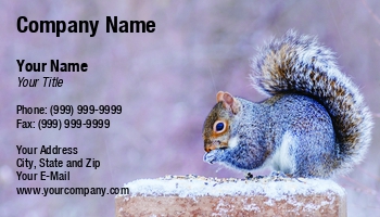 Animal Doctor Business Cards