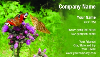 Butterfly Business Cards