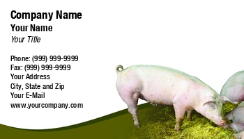 Pig Business Cards