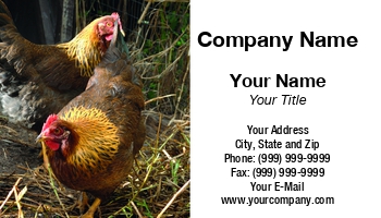 Poultry Farm Business Cards