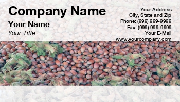 Nut Business Cards