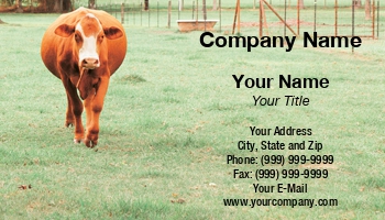 Cattle Business Cards