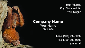 Animal Care Business Cards