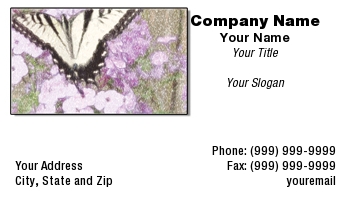 Butterfly Business Cards