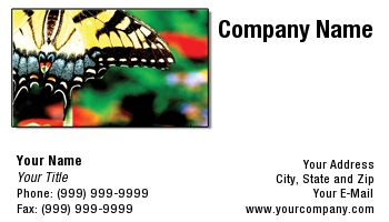 Butterfly Business Cards