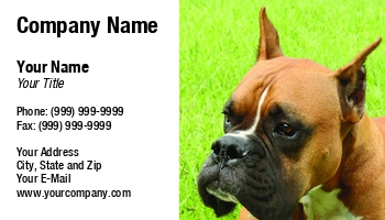Boxer Business Cards