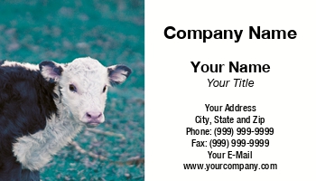 Farm Business Cards : Page 20 of 174