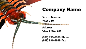 Pest Control Business Cards