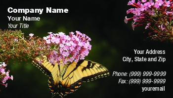 Butterfly Business Cards