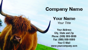 Cattle Business Cards