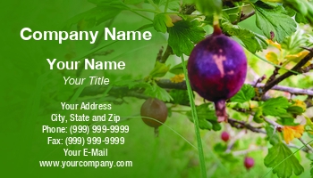 Organic Business Cards