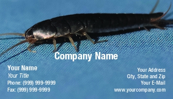 Insect Business Cards