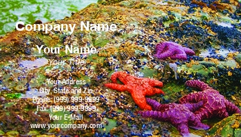 Geophysicist Business Cards