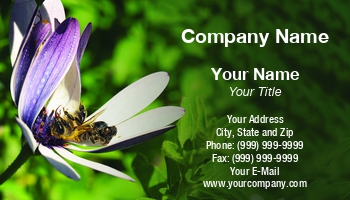 Insect Business Cards