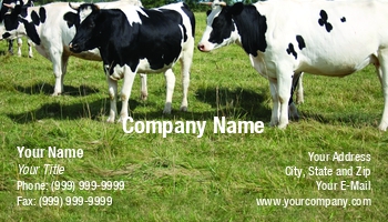 Cattle Business Cards