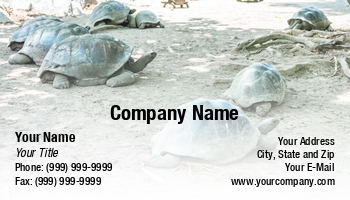 Reptile Business Cards