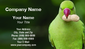 Business Card Designs by Julian Popov