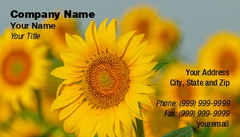 Business Card Designs by Julian Popov