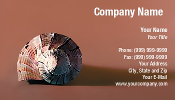 Seashells Business Cards
