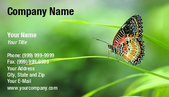 Butterfly Business Cards