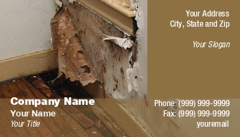Mold Inspection And Remediation Business Cards